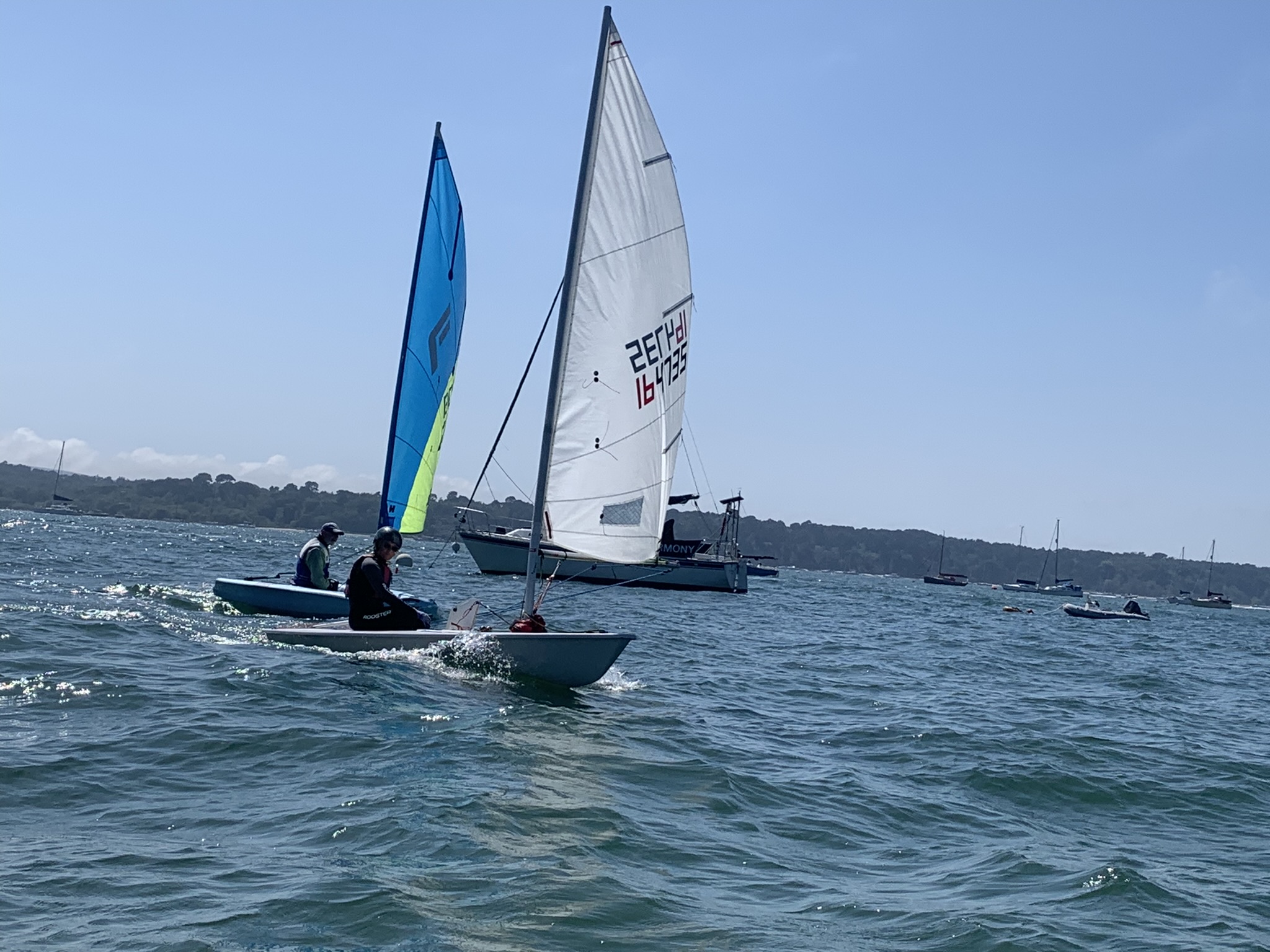 Lilliput Sailing Club - Regatta